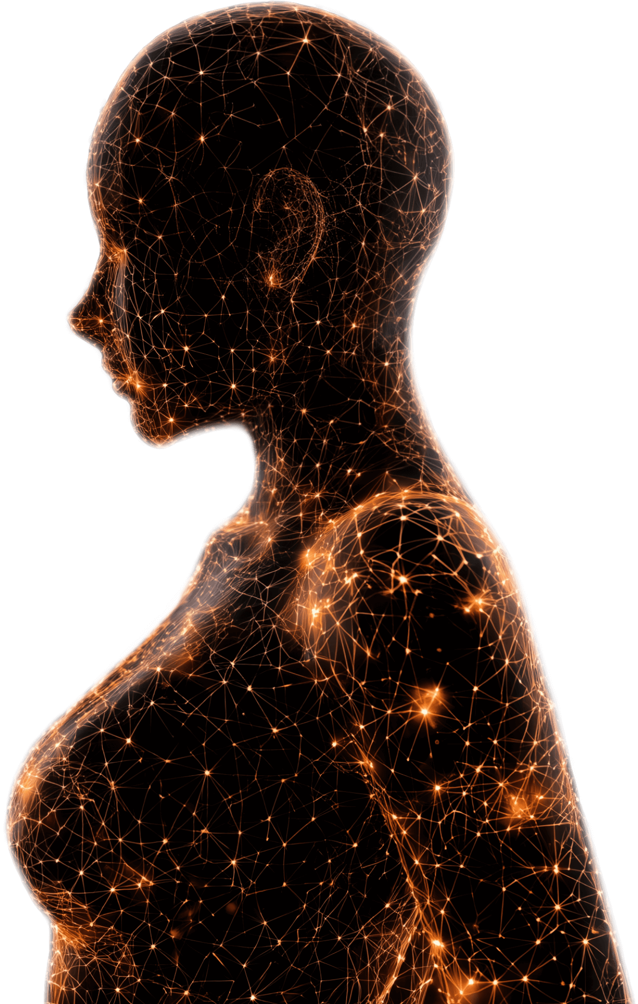 Alvanon | Sizing Technology for the Future of Fashion